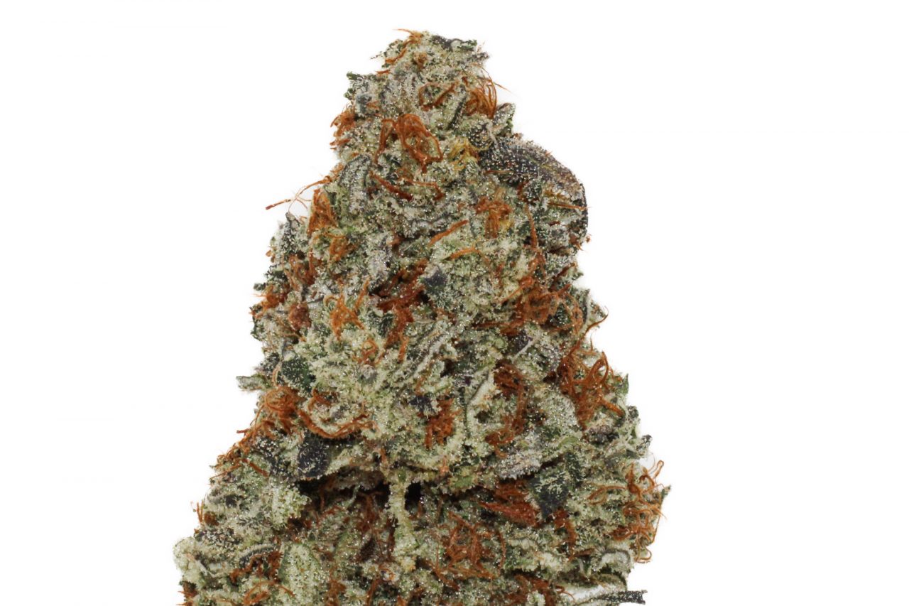 Swamp Water Fumez, Rugged Roots Inc - High 95